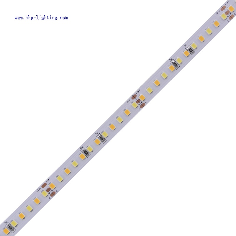 SMD2835 DC24V 168LEDsM CCT LED Strip