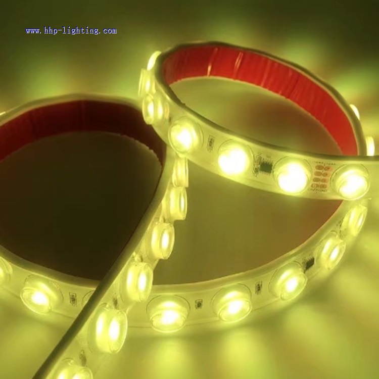 DMX SPI Flexible Wall Washing LED Strip